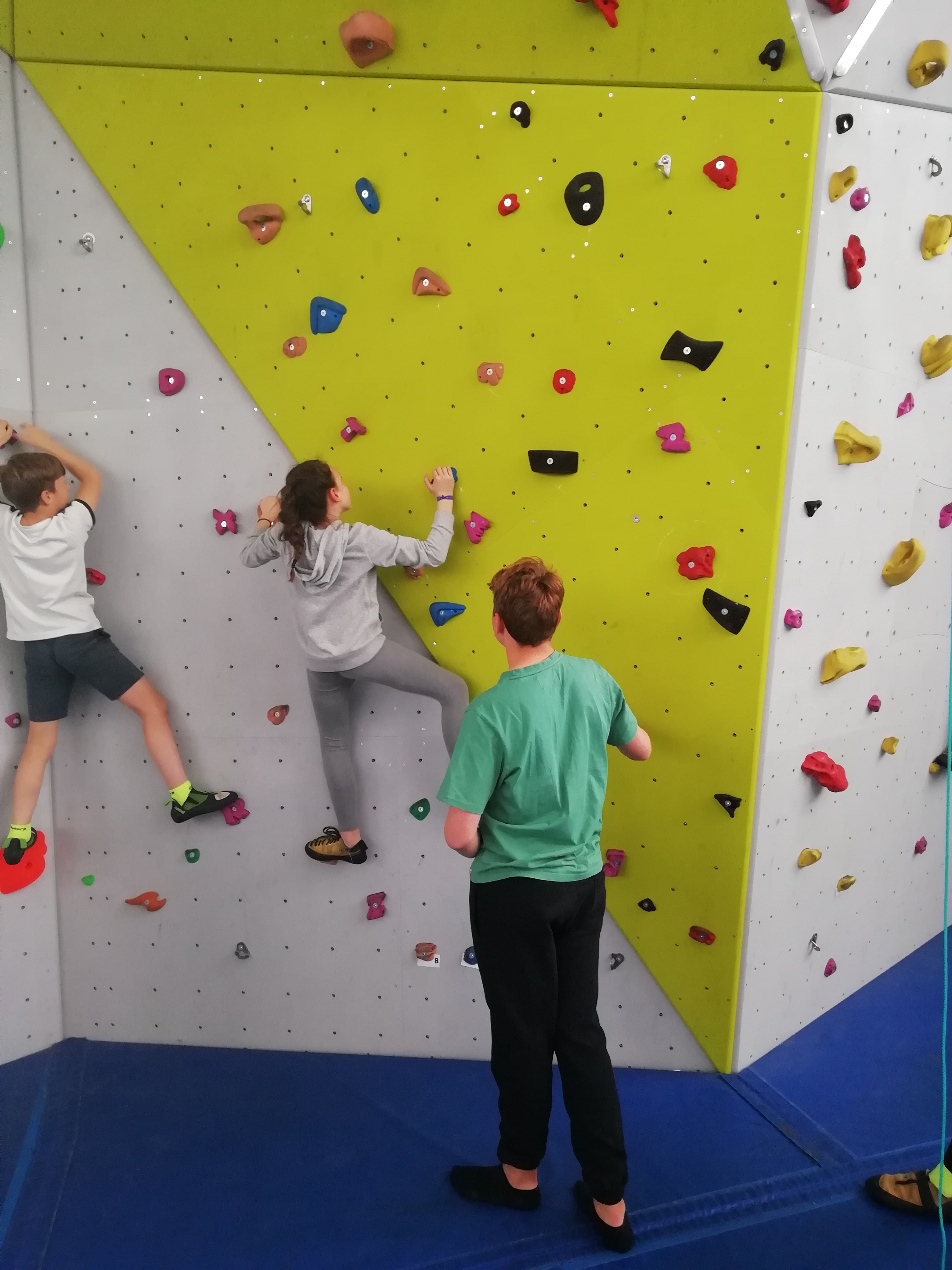 les Enseignements (Chapitre complet pour impression - Collège les ...